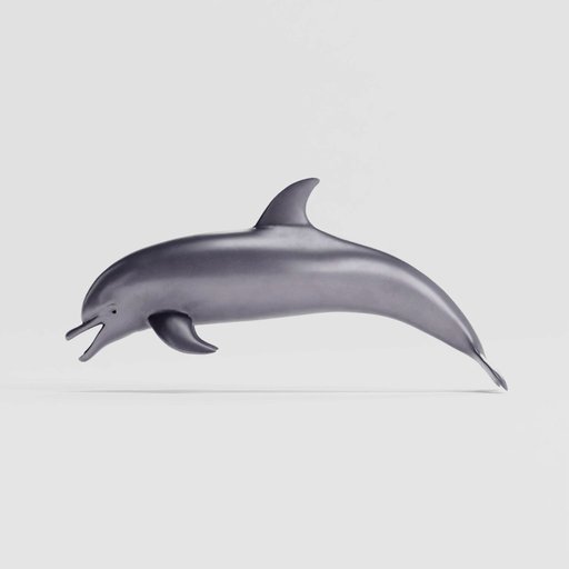 Dolphin Rigged | Mammals models | BlenderKit