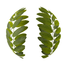 Leaf atlas | FREE grass materials | BlenderKit