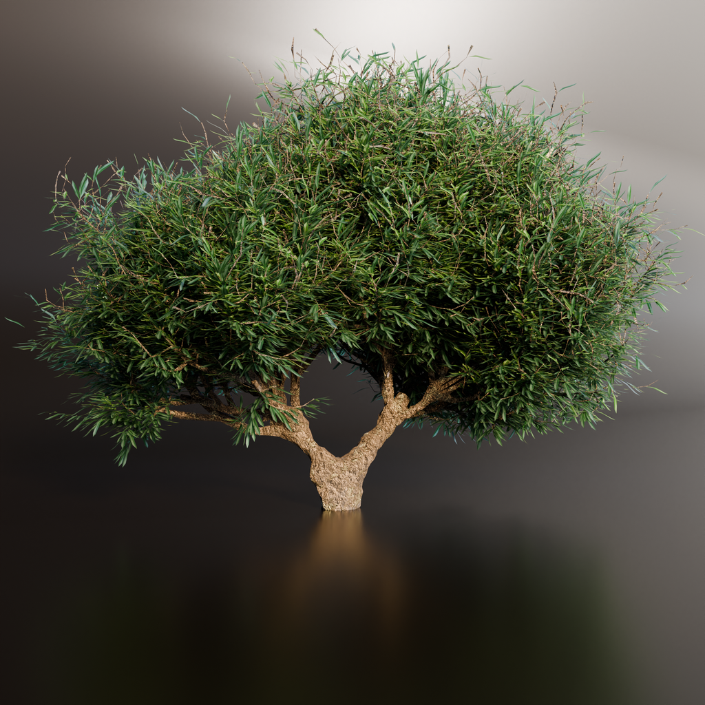 Stylized tree | FREE Trees models | BlenderKit