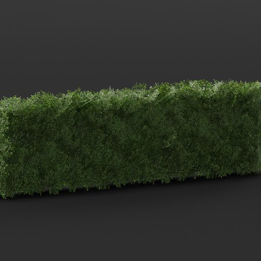Hedge Straight 4M | Outdoor Plants models | BlenderKit