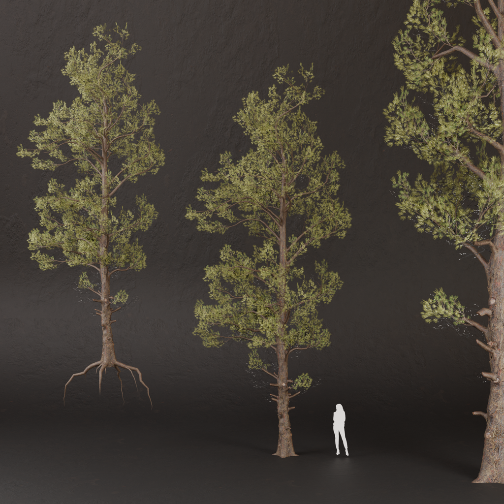SJ-Ethereal Pine Guardian | Trees models | BlenderKit