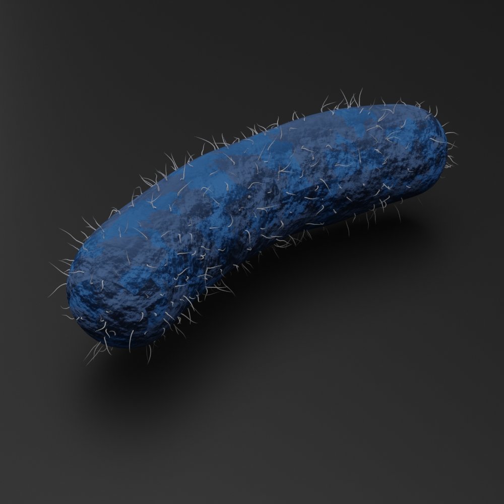 Bacteria 01 | Miscellaneous models | BlenderKit