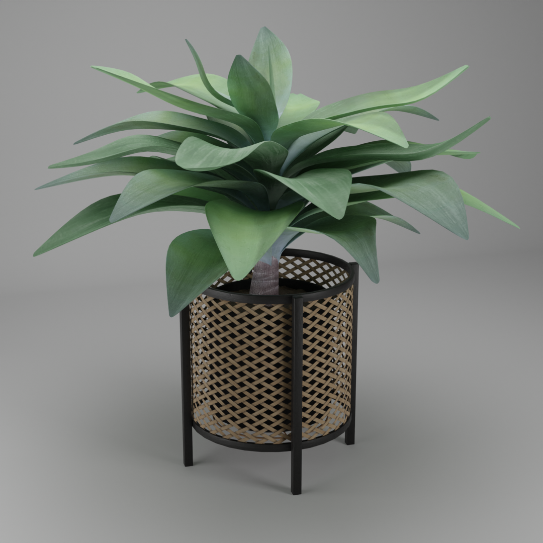 Agave Plant in Wicker Basket | Indoor Plants models | BlenderKit