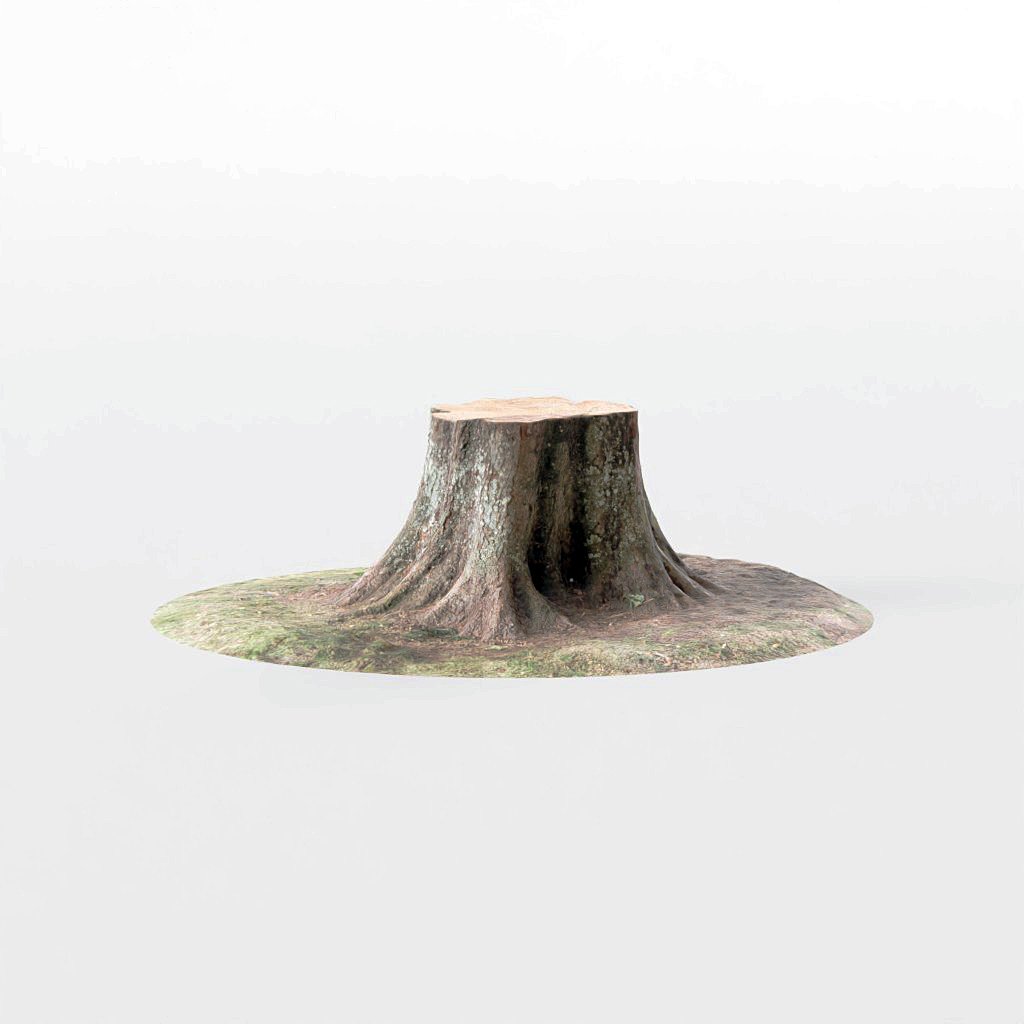 Tree Stump | Trees models | BlenderKit