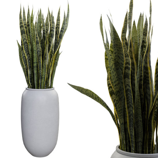 Indoor plant C | Indoor Plants models | BlenderKit
