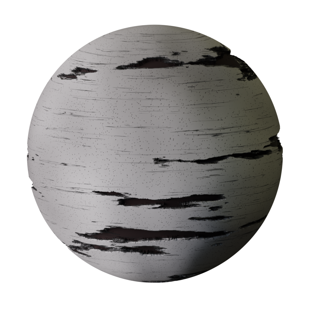 White Birch Tree Bark | FREE wood materials | BlenderKit