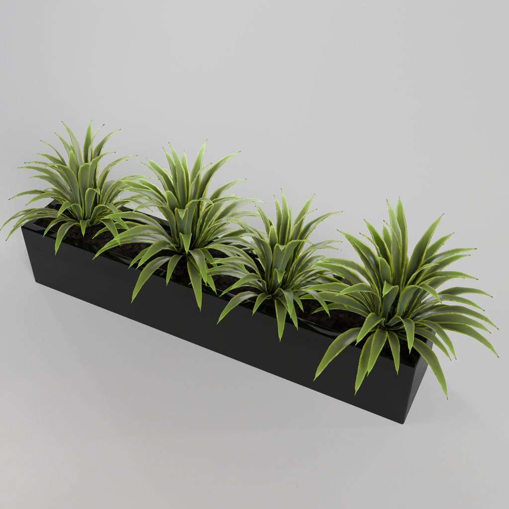 BlenderKit | Download the Agave plant model