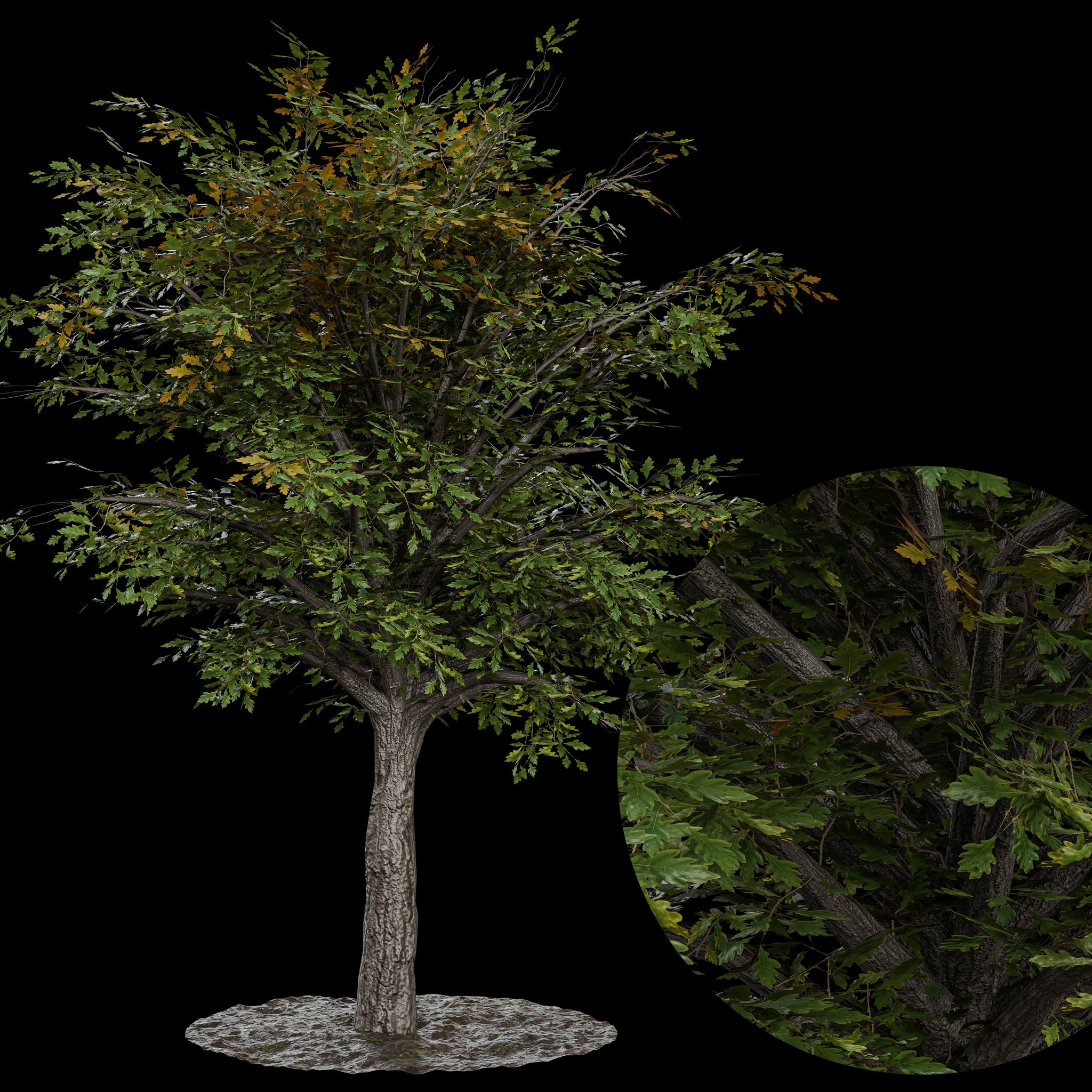 Low Poly Broadleaf Autumn Tree | Trees models | BlenderKit