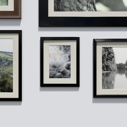 Photo frame 'anyframe' with dry flowers photo | FREE Decorative Pictures models | BlenderKit