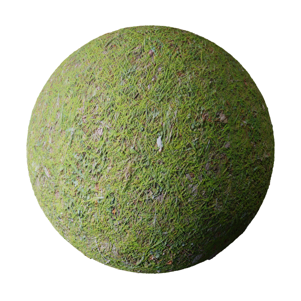 Natural Grass Ground | FREE grass materials | BlenderKit