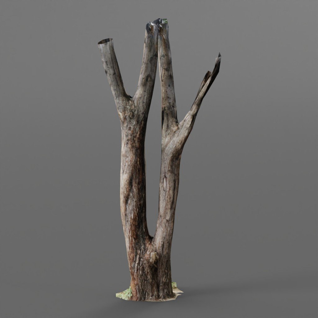 Tree trunks | FREE Trees models | BlenderKit