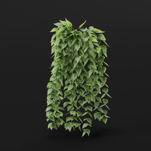 Cascading Green Ivy | Indoor Plants models | BlenderKit