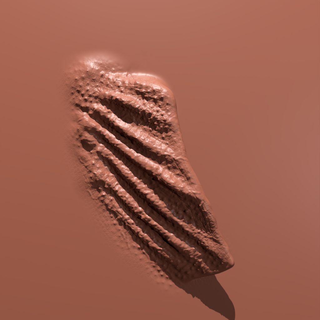 Side Scale Fin | FREE Scales brushes | BlenderKit