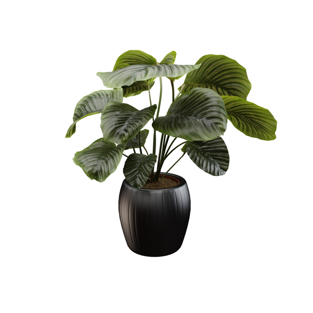 Plant pot | FREE Indoor Plants models | BlenderKit