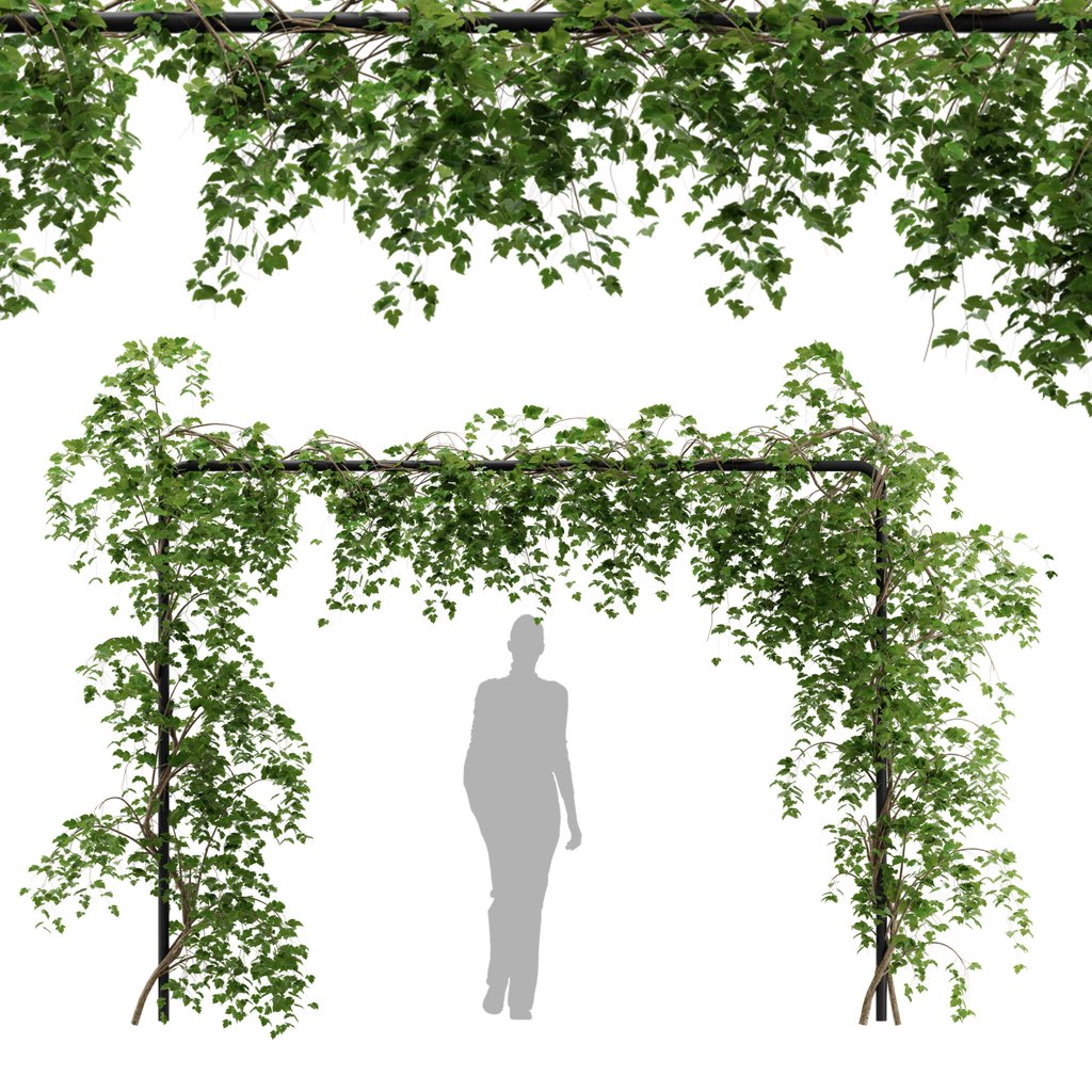 Ipomoeanil d | Green Walls models | BlenderKit