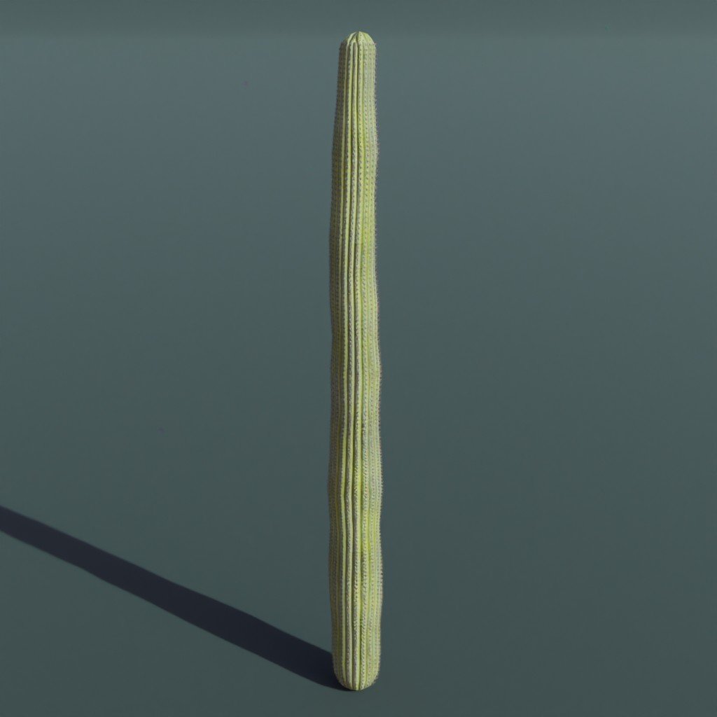 Plant Cactus Saguaro Tall | Outdoor Plants models | BlenderKit