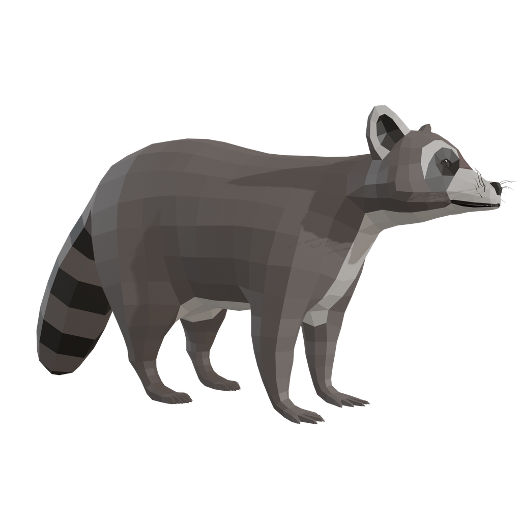 Low Poly Raccoon | FREE Mammals models | BlenderKit