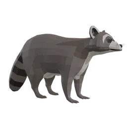 Low Poly Raccoon | Mammals models | BlenderKit
