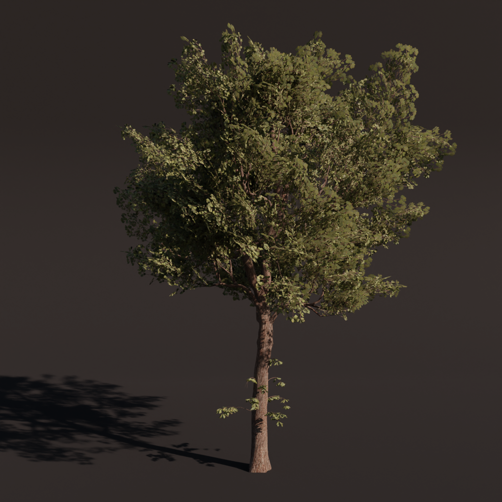 Cut log 04 - remeshed photoscan | FREE 3D Tree models | BlenderKit