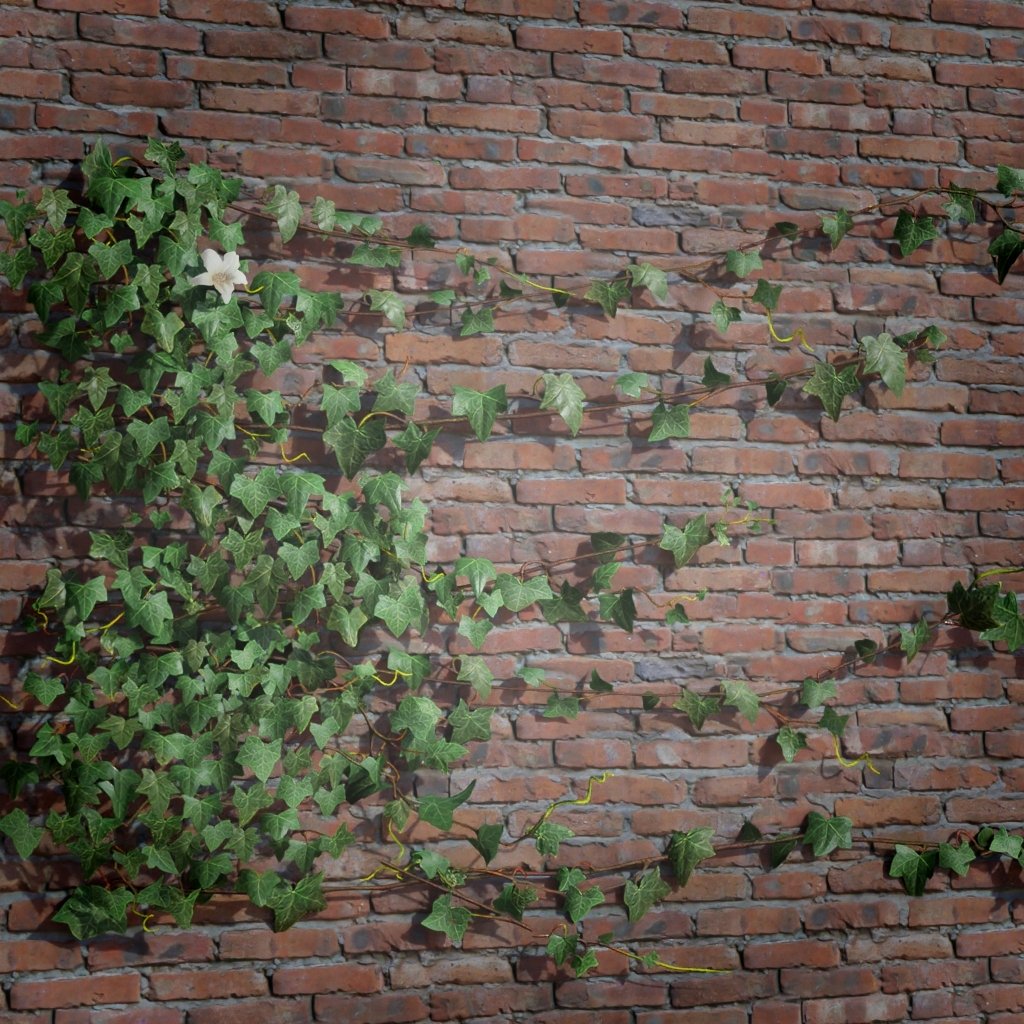 Ivy Creeper Side 2M 01 | 3D Outdoor models | BlenderKit
