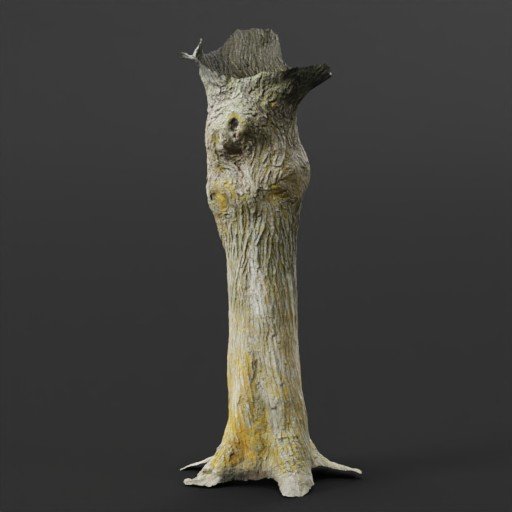 Photoscanned Maple Tree Trunk | FREE Trees models | BlenderKit