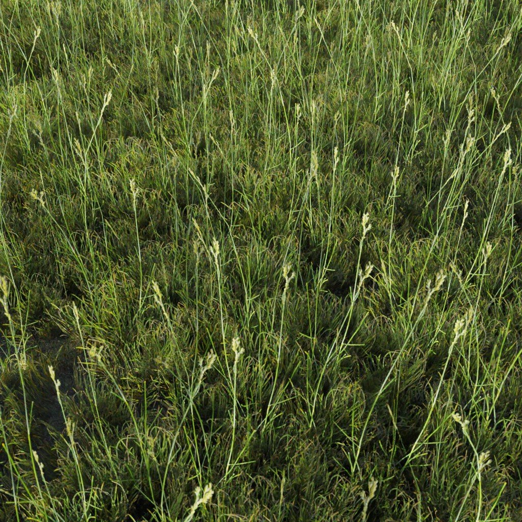 Grass Generic Large Hay | Grass models | BlenderKit