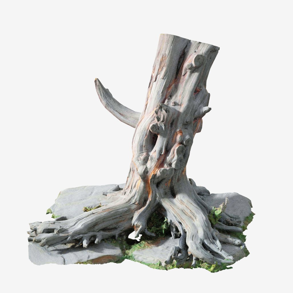 Huge Tree Stump Roots PBR Scan | Trees models | BlenderKit