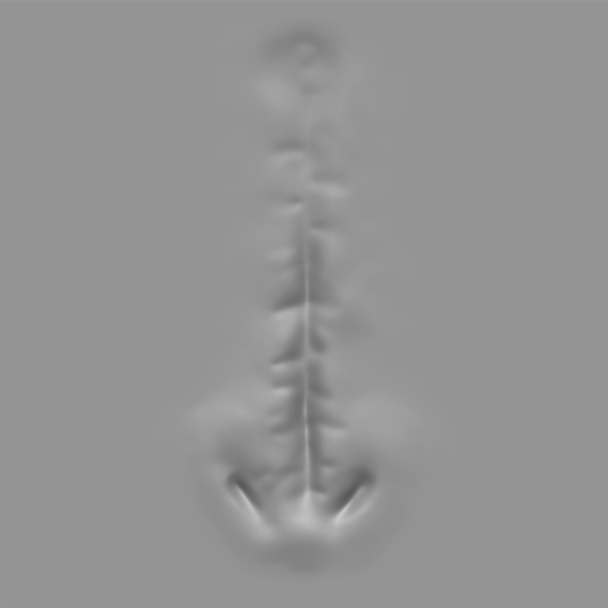 ER Muscle brush 79 | Human Muscle brushes | BlenderKit