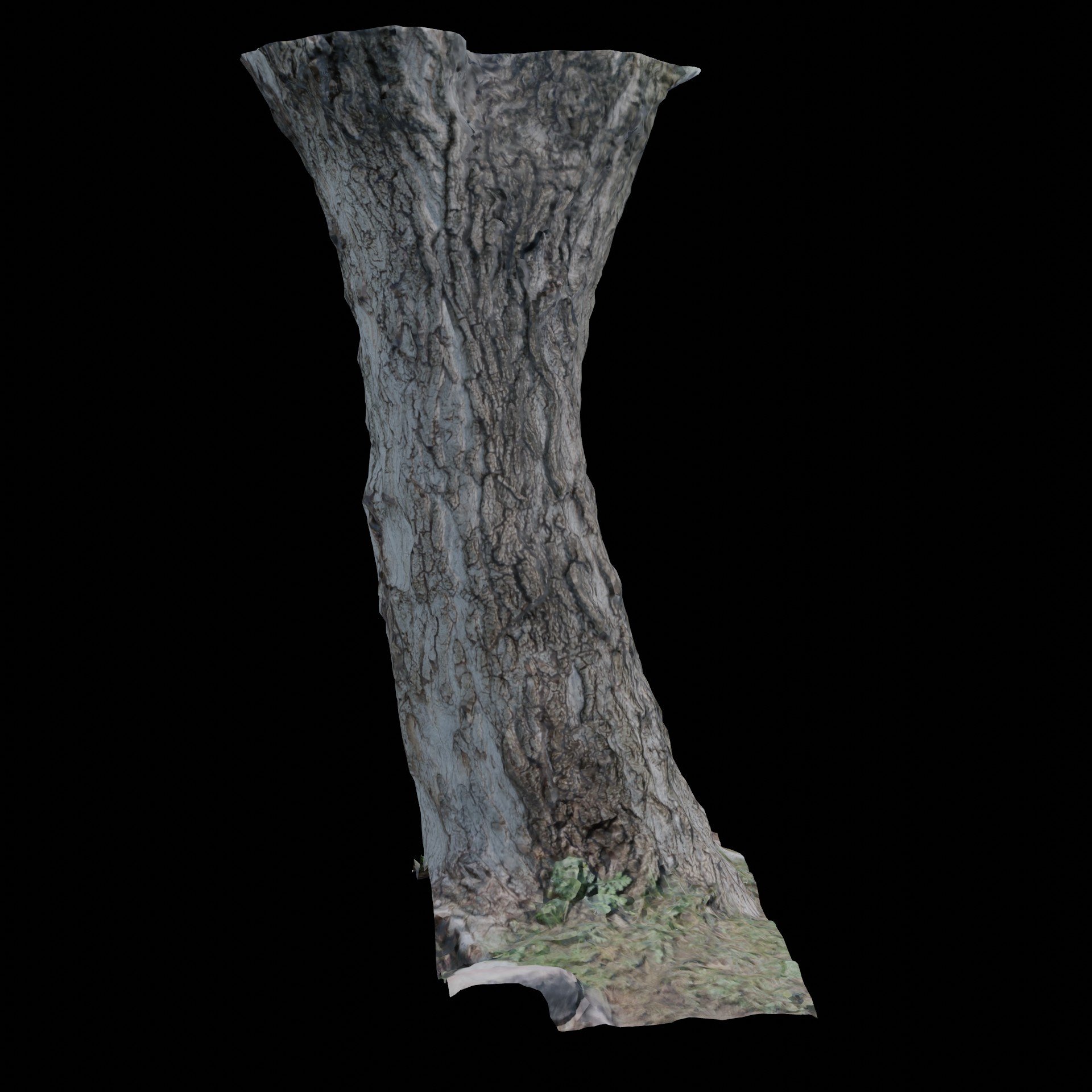Tree | Trees models | BlenderKit