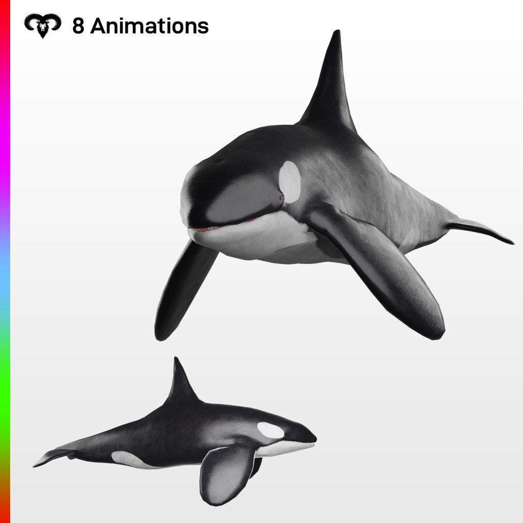 Orca Animated | Fish models | BlenderKit