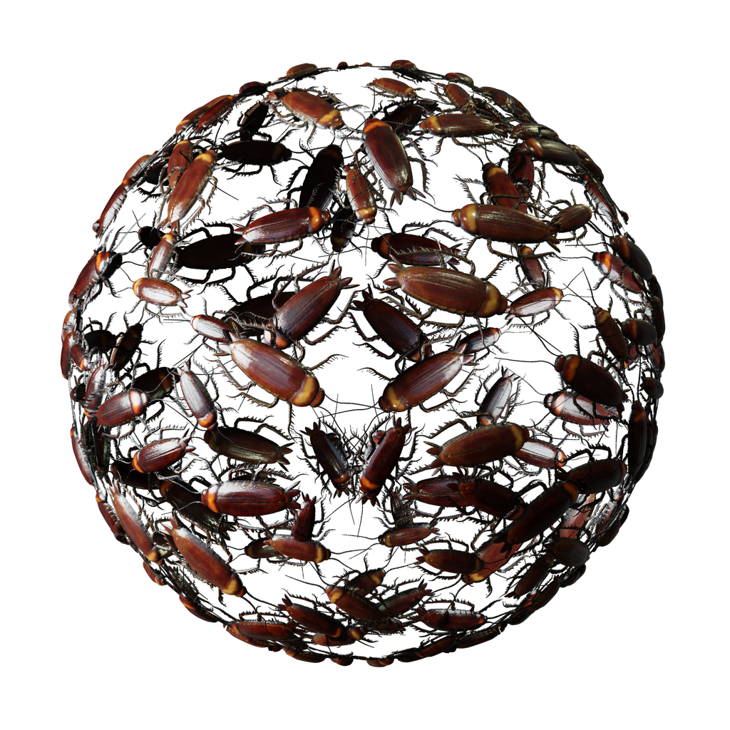 Cockroaches Swarm | FREE animal materials | BlenderKit