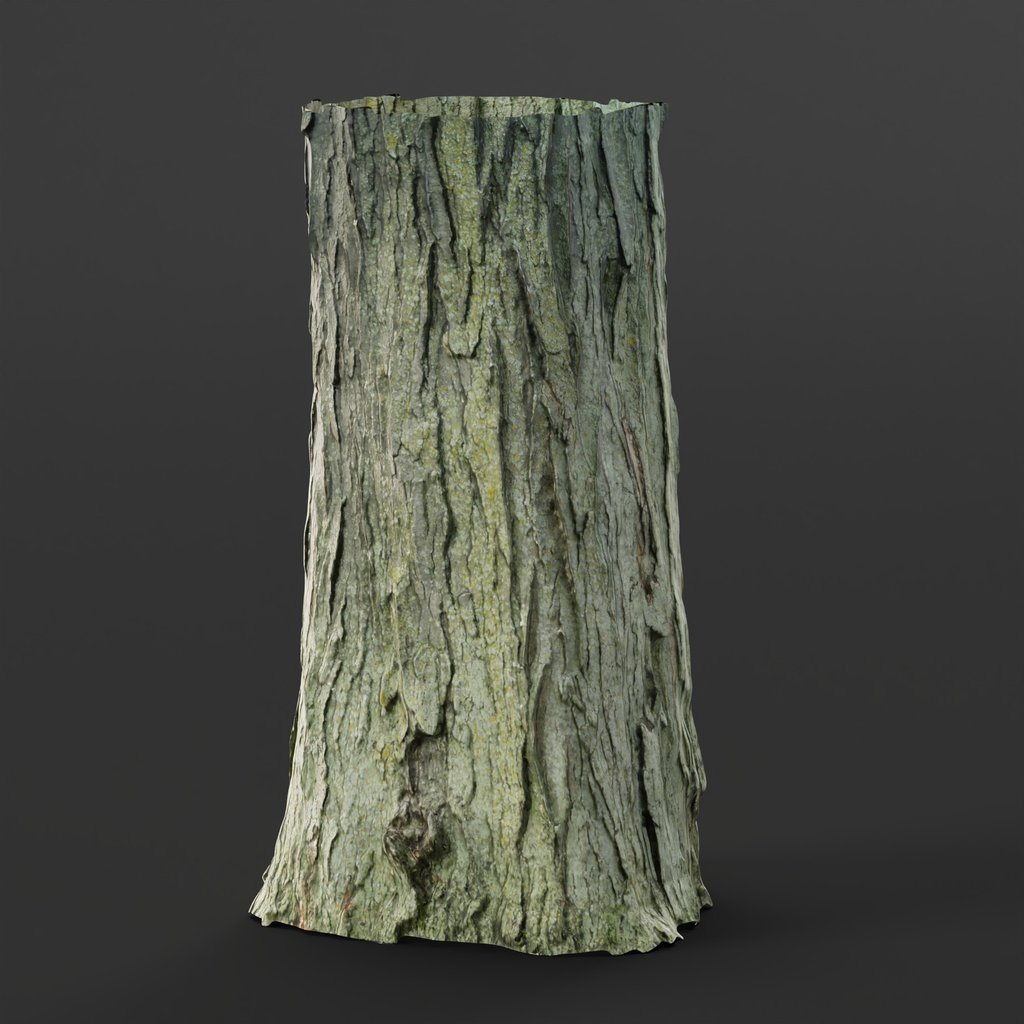Large Tree Trunk 03 | FREE Trees models | BlenderKit