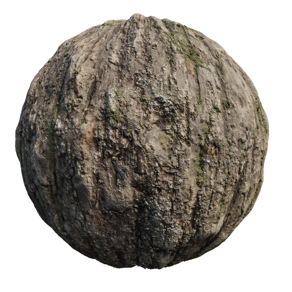 Tree Bark | FREE wood materials | BlenderKit