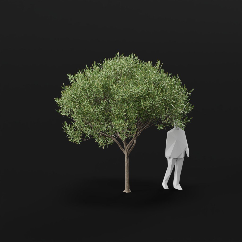 Olive Tree City Med | Trees models | BlenderKit