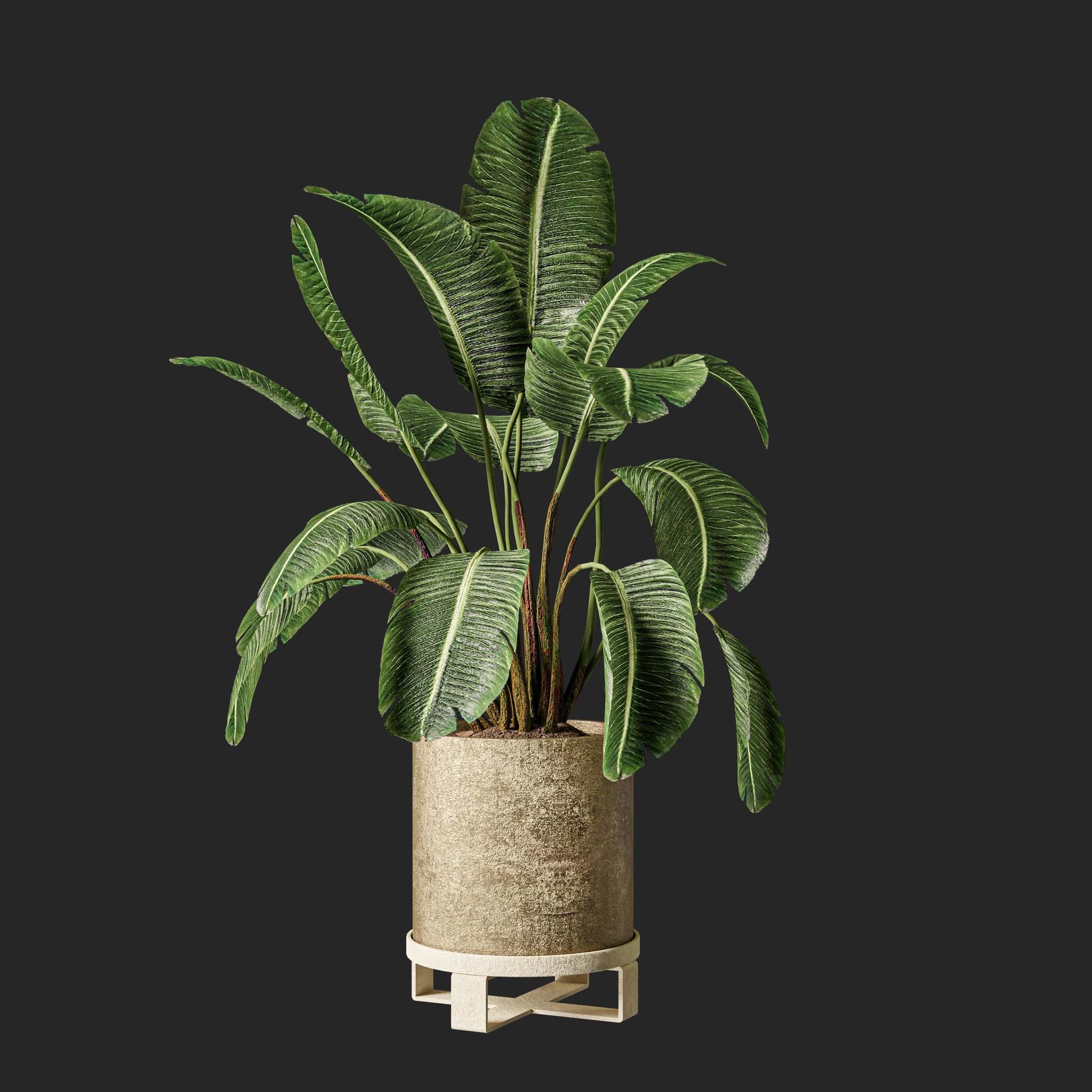 Plant | Indoor Plants models | BlenderKit