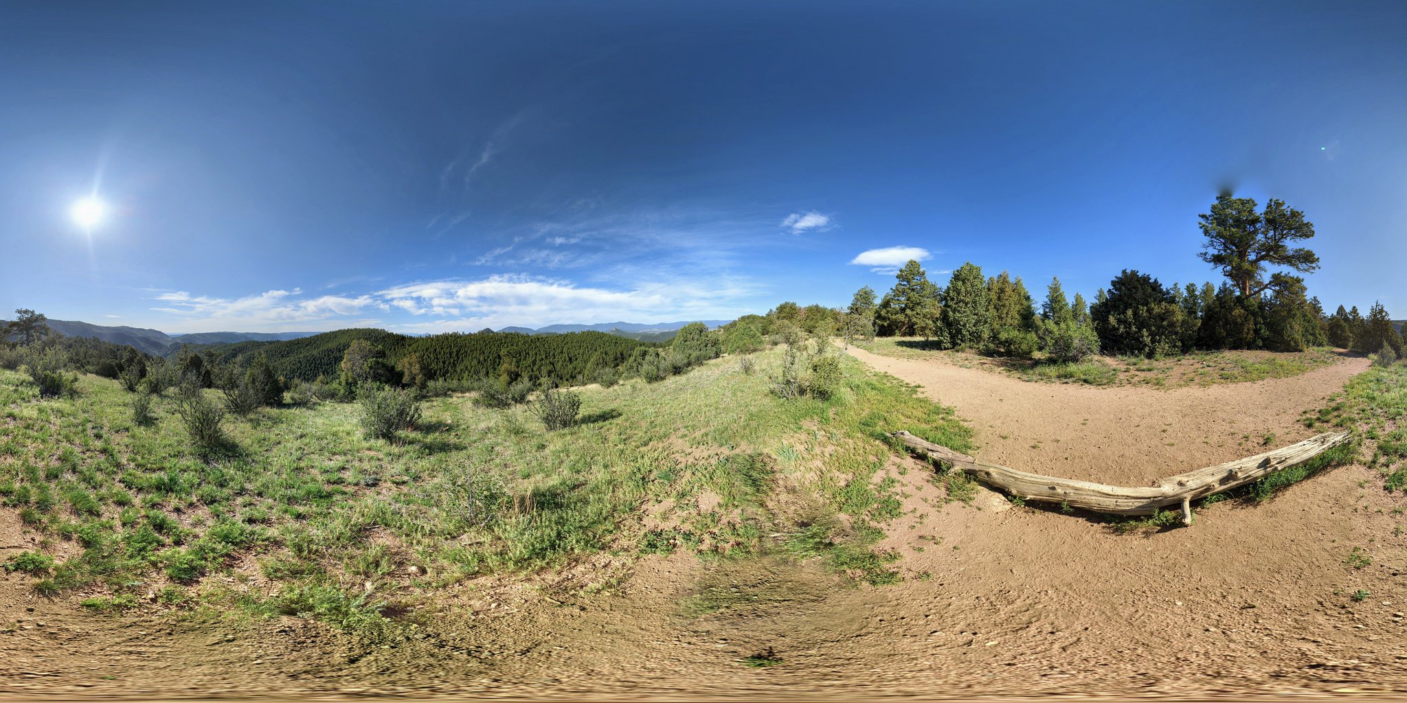 Tree Glass Blue sky | FREE Nature HDRis | BlenderKit