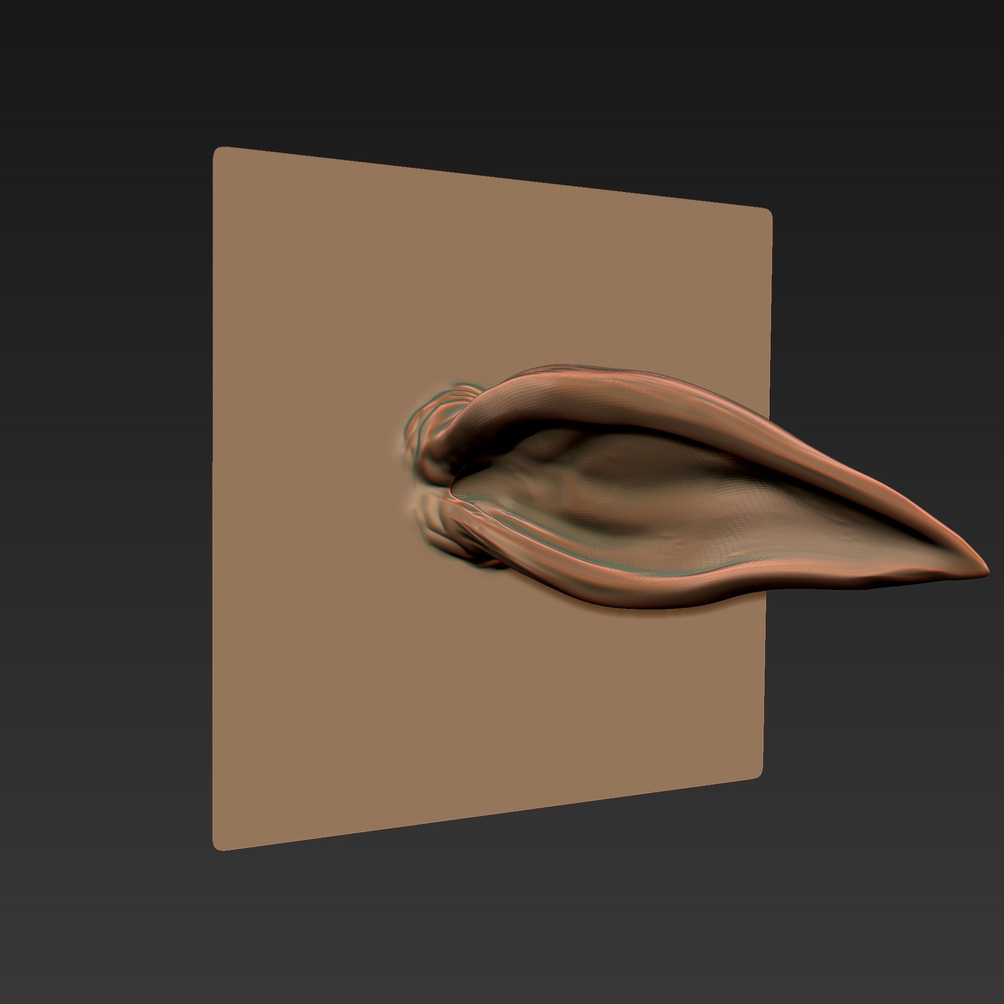 ER Ear Brush 50 | Face / Head brushes | BlenderKit