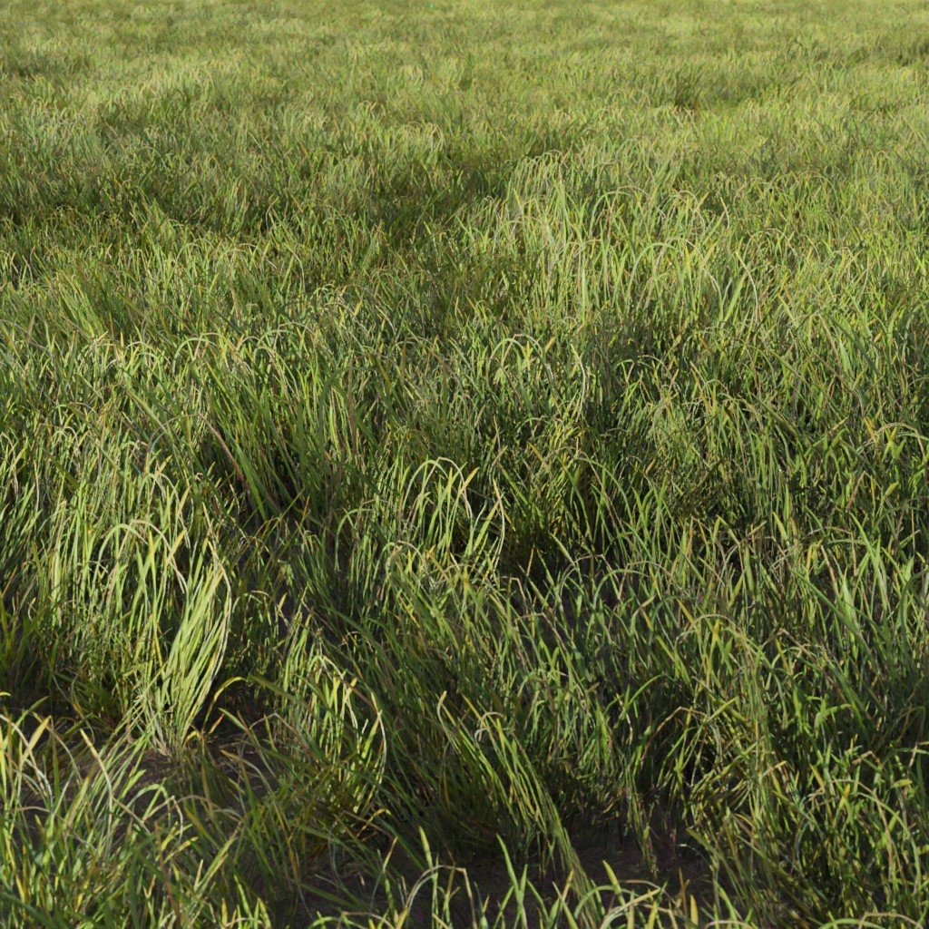 Grass Generic Small | FREE Grass models | BlenderKit