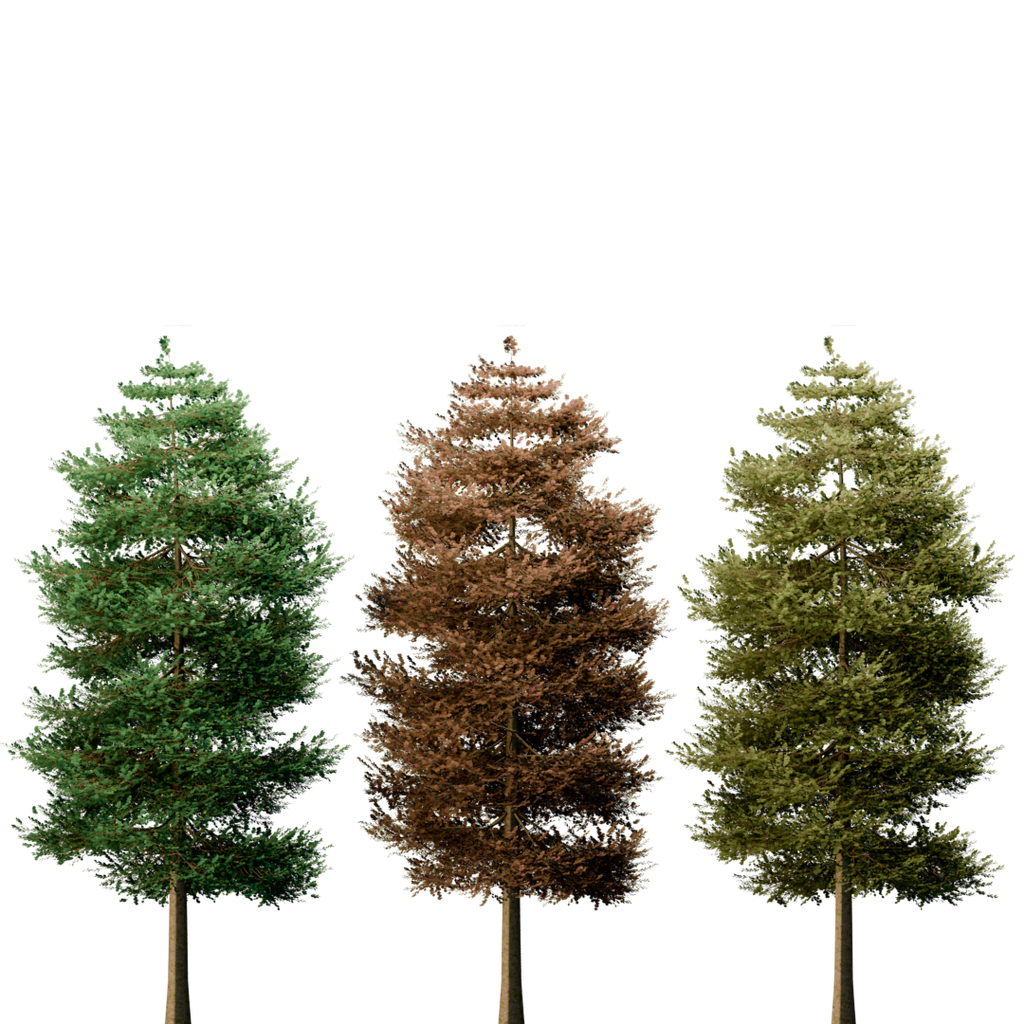 Fake Trees | FREE Trees models | BlenderKit