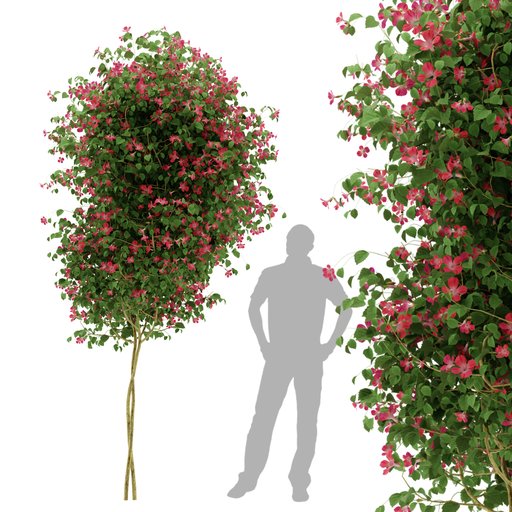 Chinese trumpet vine 7683 01 06 F | Green Walls models | BlenderKit