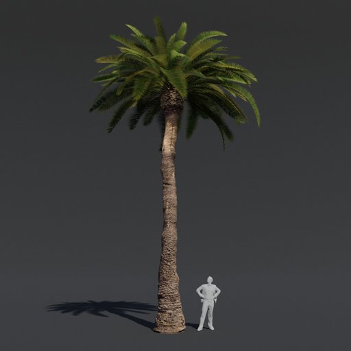 Tree Date Palm d1 | Trees models | BlenderKit