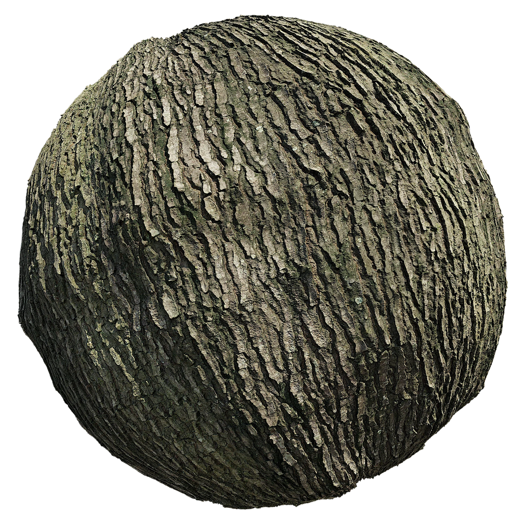 Tree Bark | FREE wood materials | BlenderKit