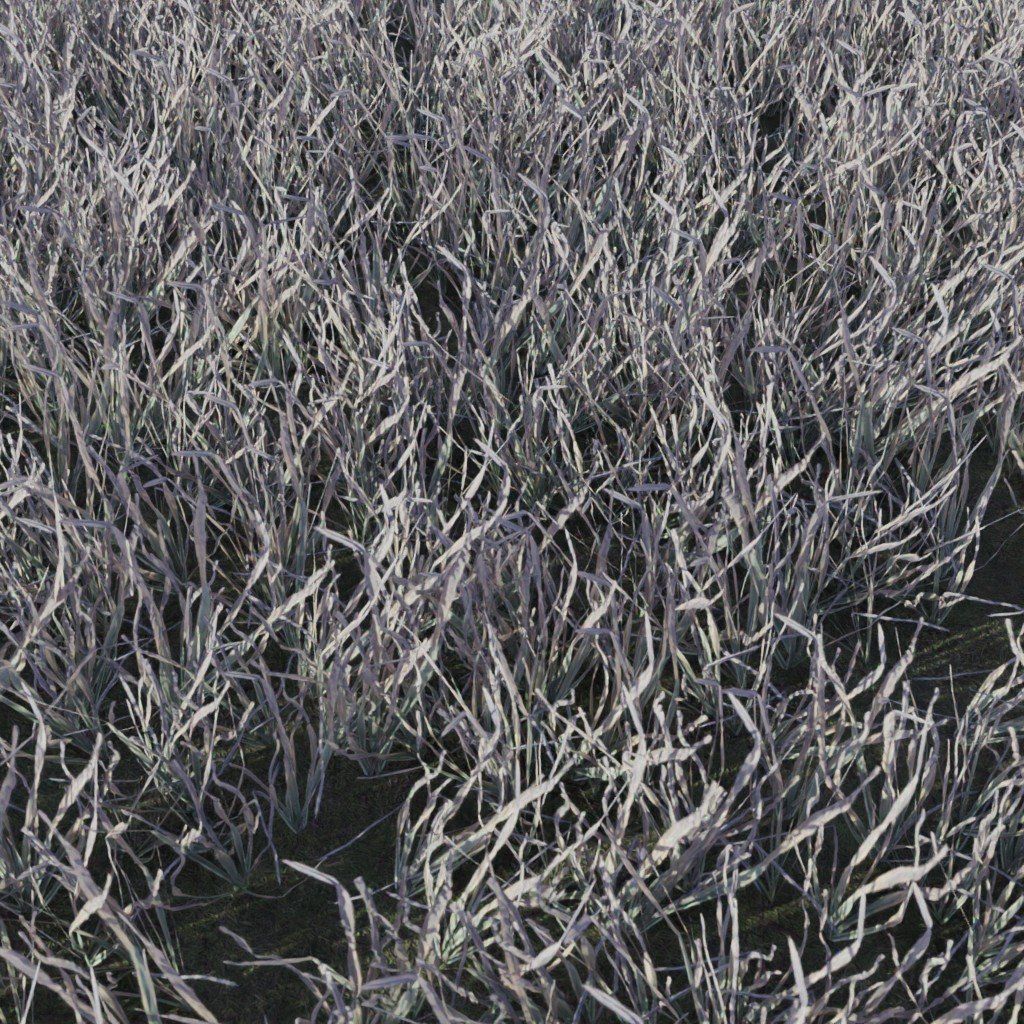 Grass Small Clump Dry | Grass models | BlenderKit