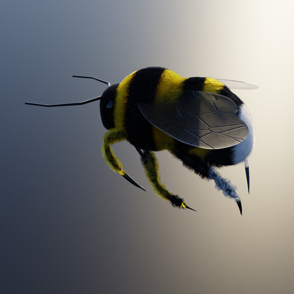Cockroach walk-cycle | FREE Insects models | BlenderKit