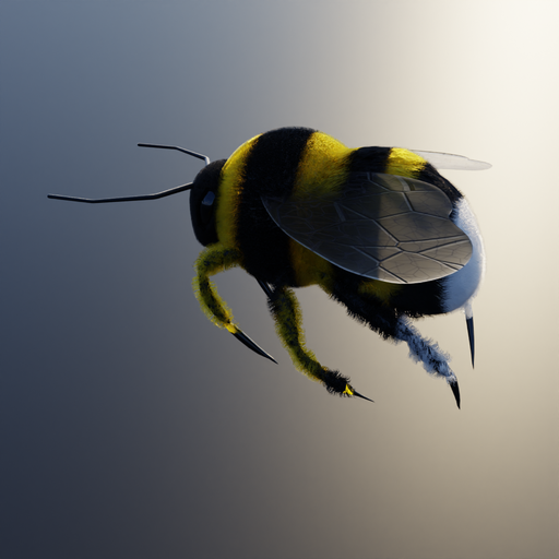 Simple animated Bumblebee | Insects models | BlenderKit