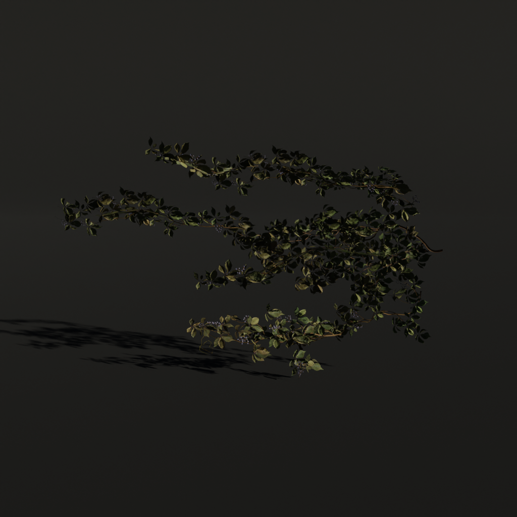 Creepers Vine b1 | Trees models | BlenderKit