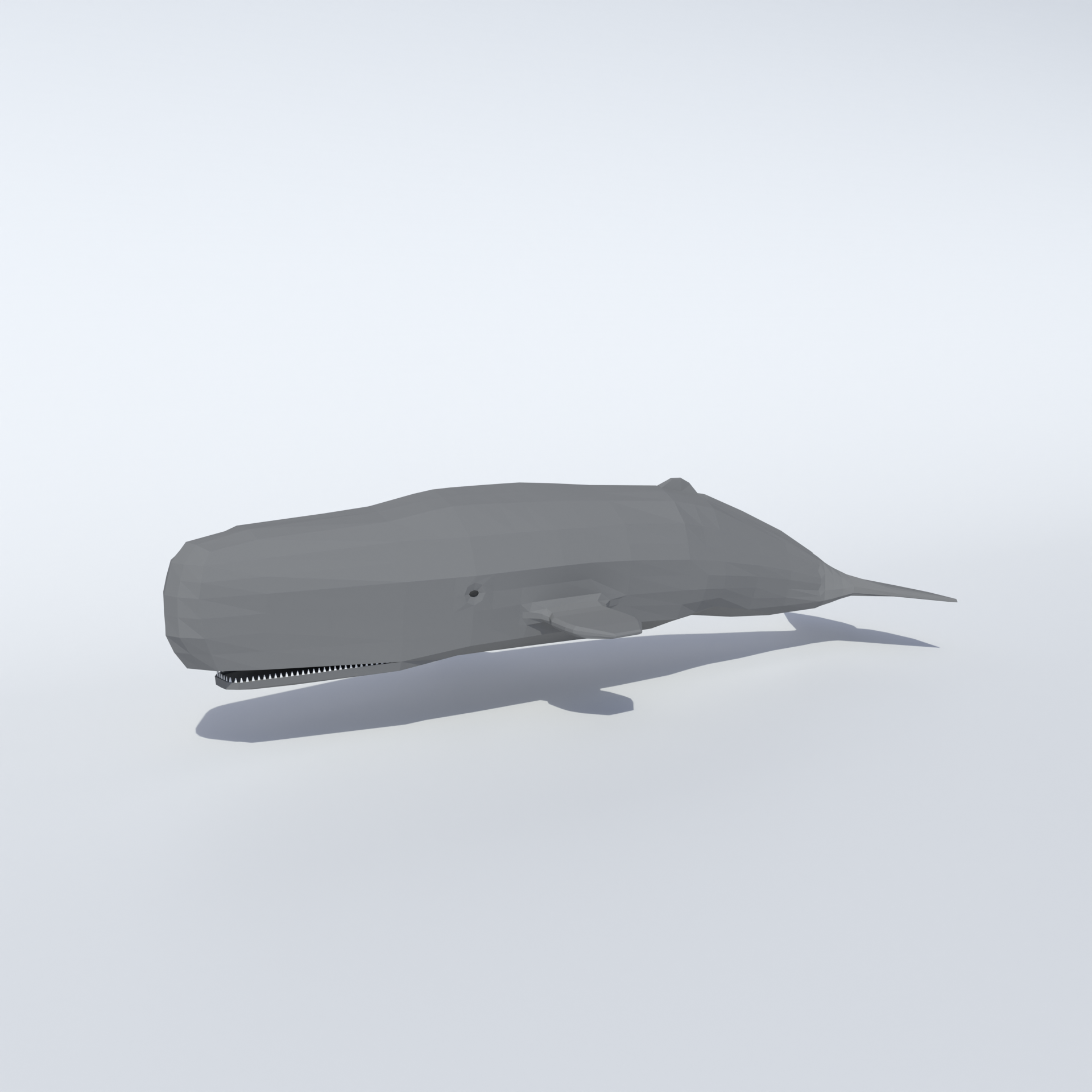 Low Poly Animated Sperm Whale | Mammals models | BlenderKit