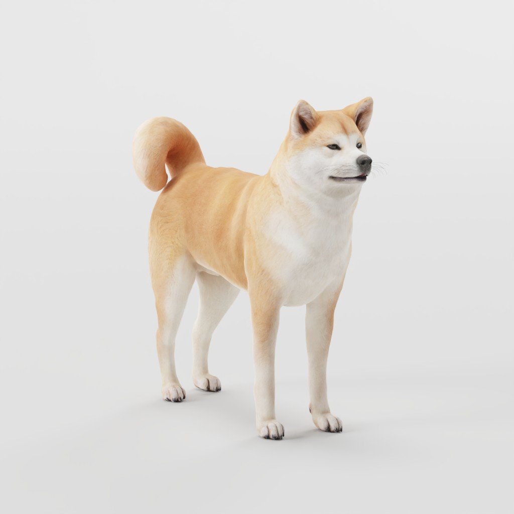 3D Animal models | BlenderKit