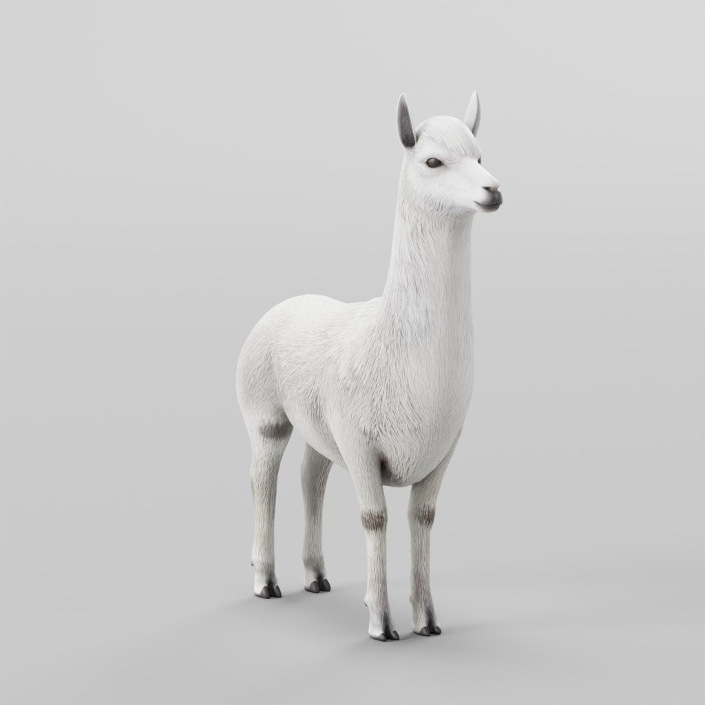 Alpaca | 3D Mammal models | BlenderKit