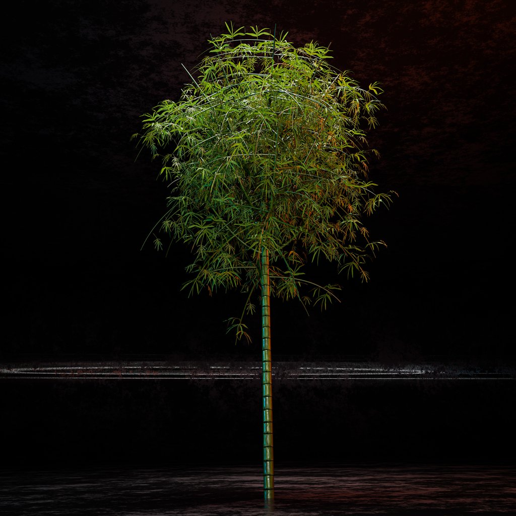 Bamboo tree | Trees models | BlenderKit